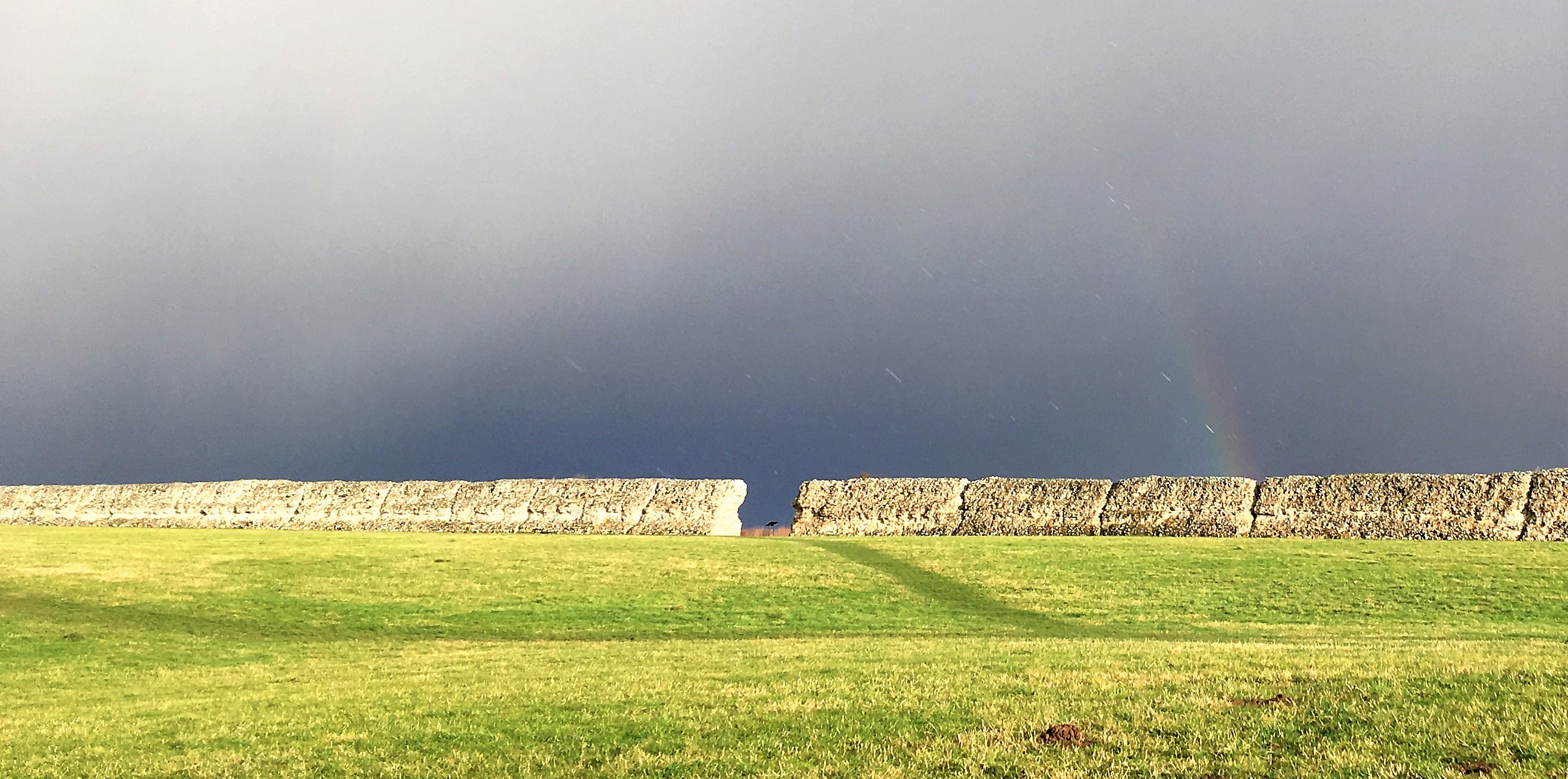 A Fursey-Tide Pilgrimage – The Walsingham Way